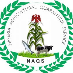 Quality competent authorities - NEPC